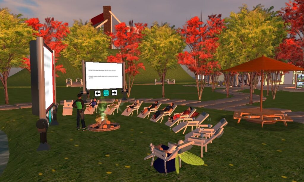 EVA – Evaluating the effects of a virtual communication environment for ...